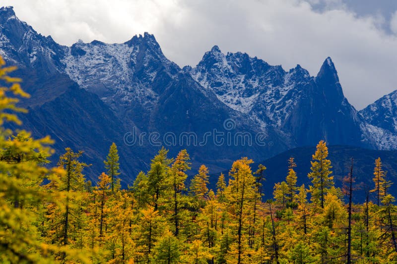 Peak Challenger stock photo. Image of nature, moss, beauty - 27296064