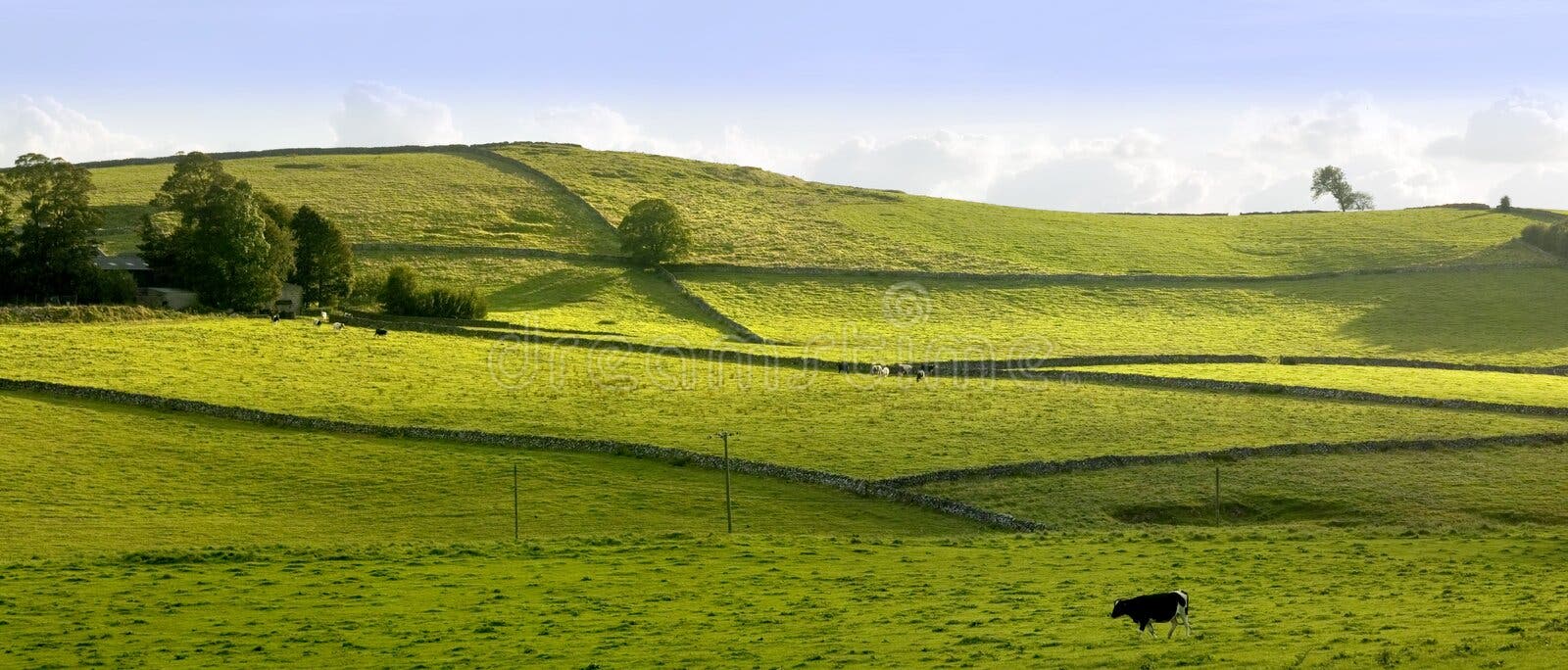 Rural Australia stock photo. Image of korumburra, rural - 46196200