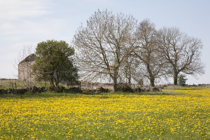 Peak District in Spring stock photo. Image of season - 71378530