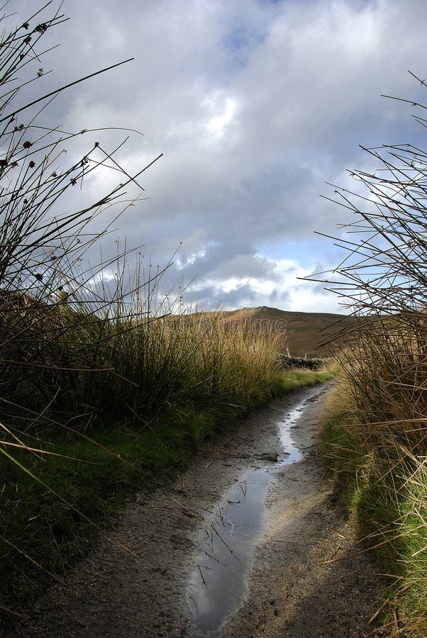 Peak District Stream stock photo. Image of fields, countryside - 36092304