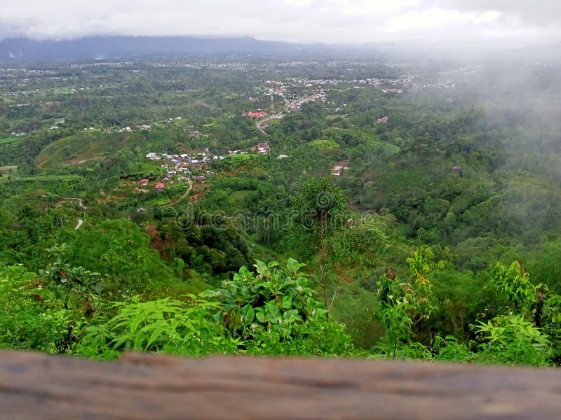 Top five keys stock photo. Image of leaf, wilderness - 237052924