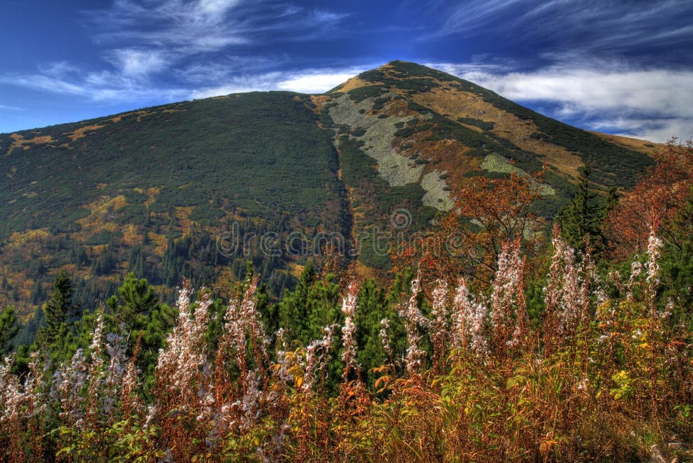 Peak Krivan stock photo. Image of high, beautiful, europe - 16291824