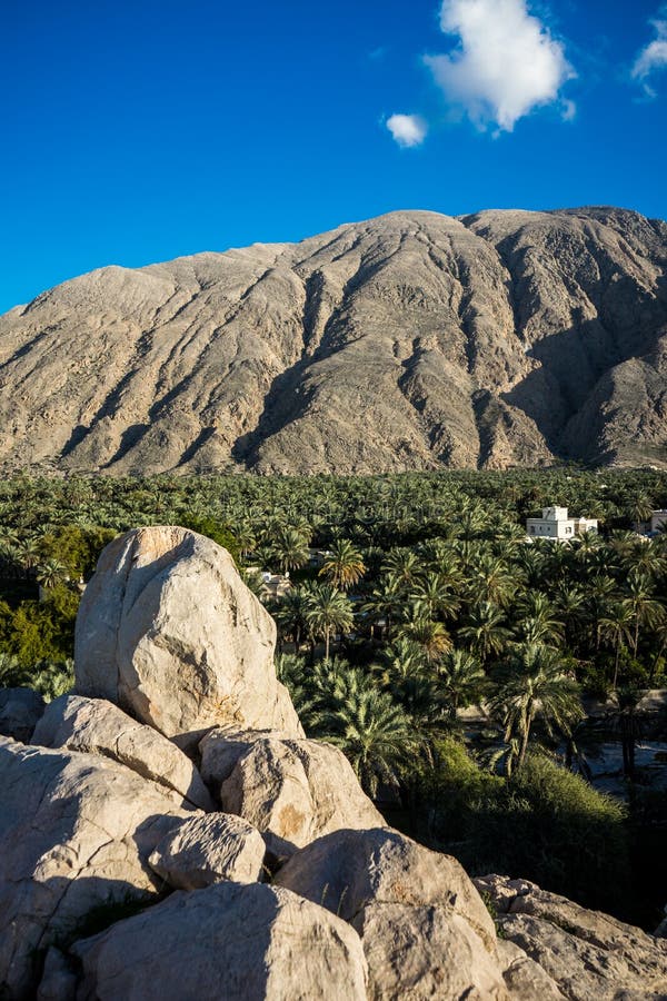 Palm And The Peak Of The Mosque, Israel 2015 Stock Photo - Image of ...