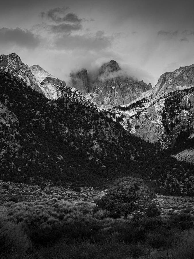 Peak in Clouds stock image. Image of tree, winter, cloud - 229290087