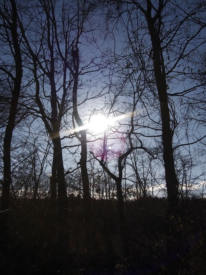Peak Point stock image. Image of mountain, forest, trees - 164890387