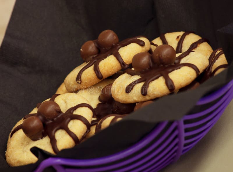 Webb Cookies Stock Photos - Free & Royalty-Free Stock Photos from ...