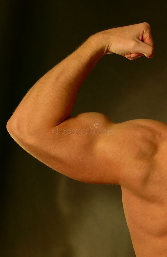 Peaked Double bicep stock photo. Image of tanned, back - 2123998