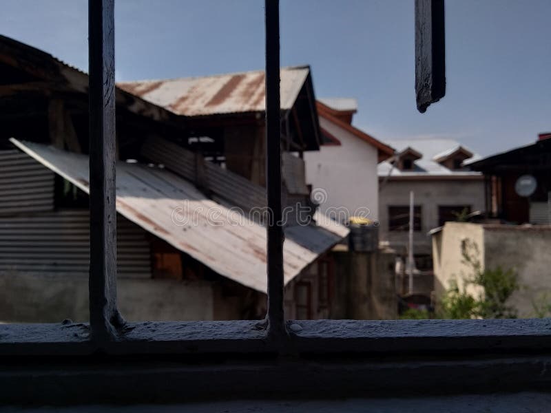 Peaking outside my window stock photo. Image of peaking - 198330706