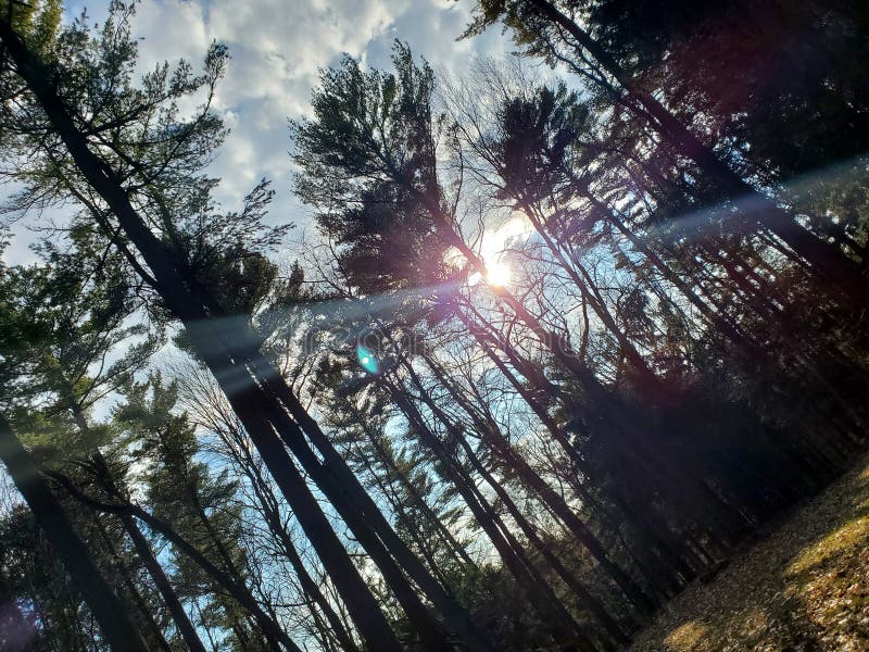 Peaking of the sun stock image. Image of darkness, night - 177977171