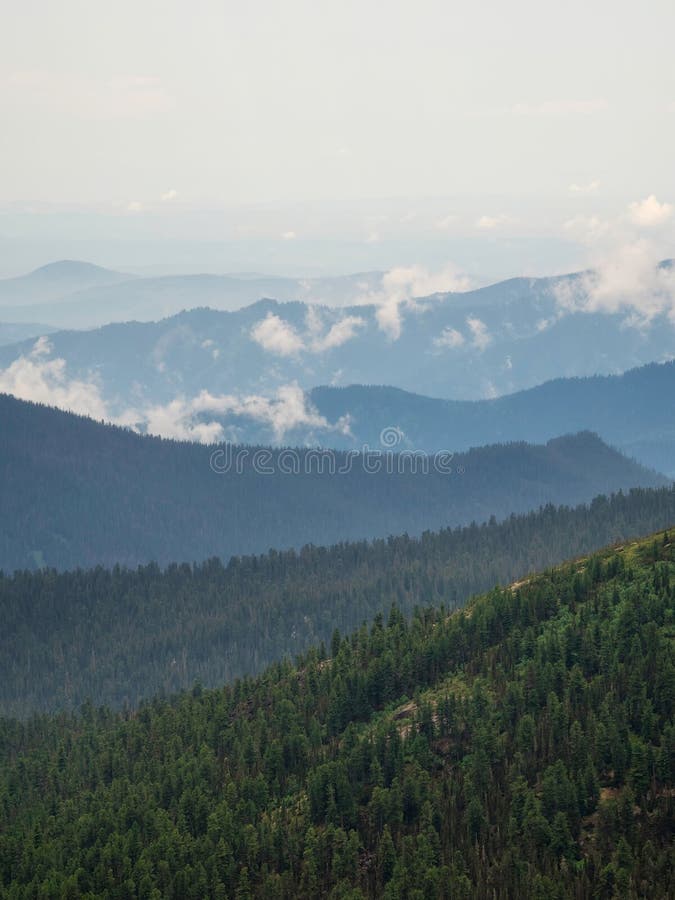 Peaks of High Mountains Overgrown with Coniferous Forest Under a Cloudy ...