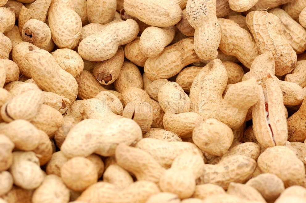 Peanut stock photo. Image of peanut, snack, frame, nutrient - 10856402