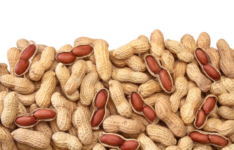 Peanut stock image. Image of groundnuts, isolate, snack - 12498695