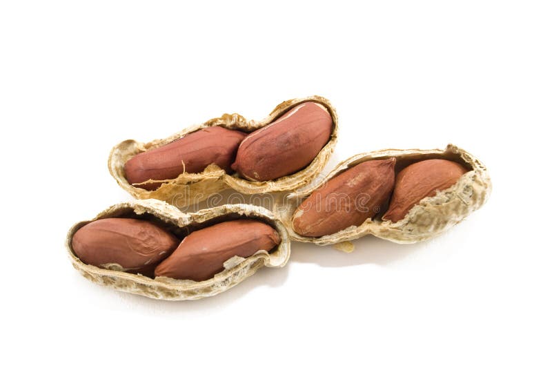 Peanut stock photo. Image of legume, small, peanut, food - 14771888