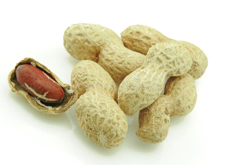 Peanut stock photo. Image of fruit, horizontal, food - 17569382