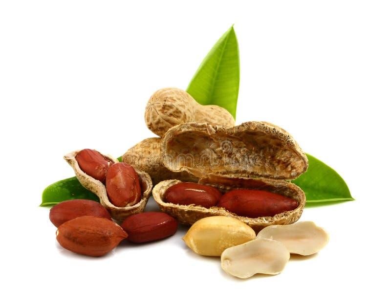 Peanut stock image. Image of color, peanut, close, snack - 17814253