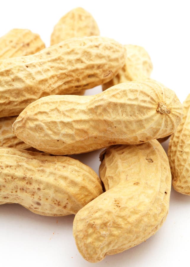 Peanut stock photo. Image of nature, nutrient, open, shell - 30772748