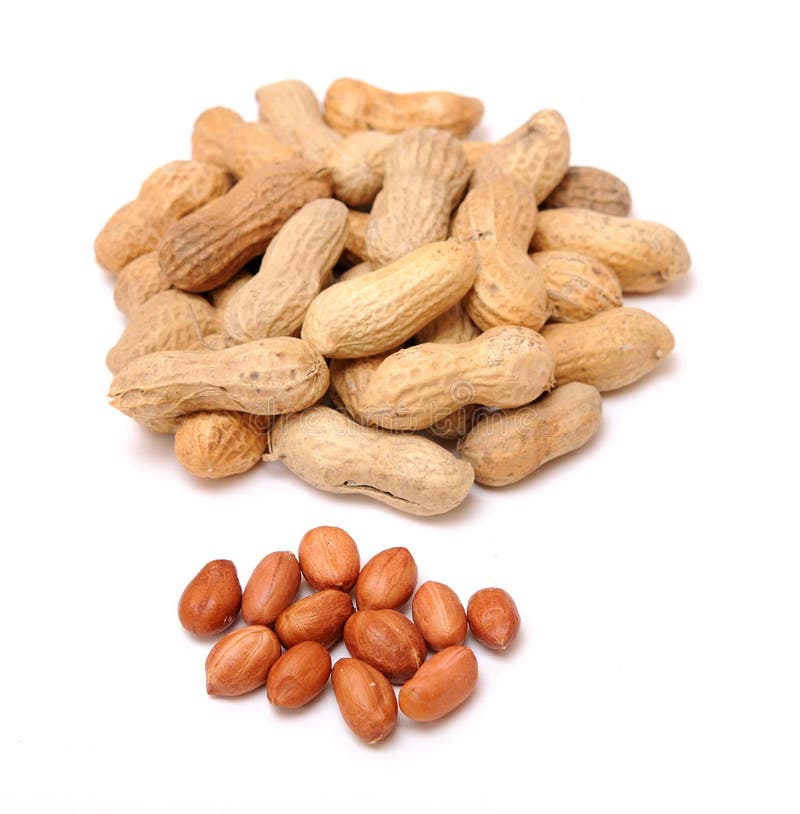 Peanut stock photo. Image of delicious, white, spread - 5341536
