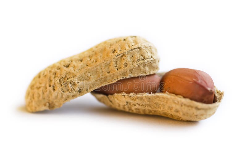 Peanut stock image. Image of food, core, legume, peanut - 33703381
