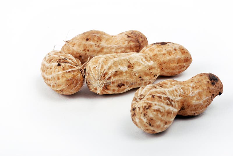 Single Peanut stock image. Image of treat, natural, edible - 25338755