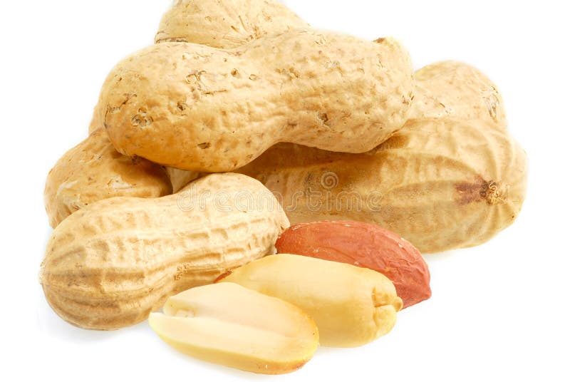 Peanut stock photo. Image of food, white, seed, healthy - 15022156