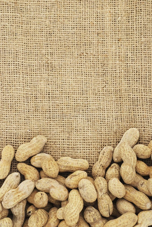 Peanut Background stock photo. Image of nutrient, nutrition - 76482606