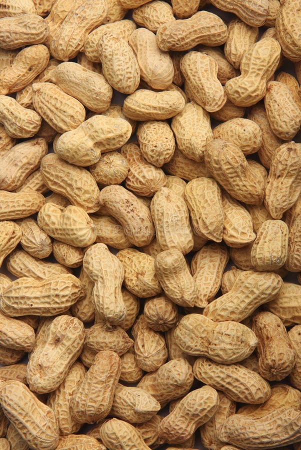Peanut backgrounds stock photo. Image of macro, textured - 34424446