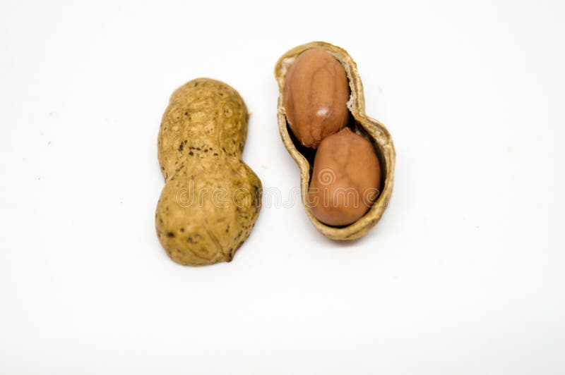 One Shell Peanuts Broke Out Two Shell and Inside Have Seed. Stock Image ...