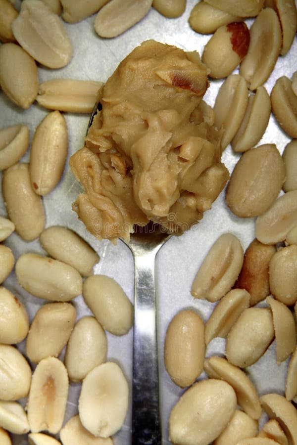 Peanut butter and peanuts stock image. Image of shelled - 2693539