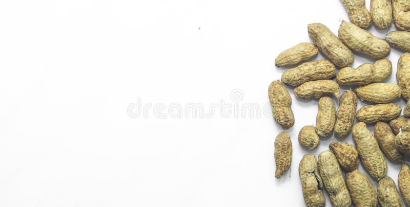 Peanut Chestnuts on a White Background Stock Photo - Image of brown ...