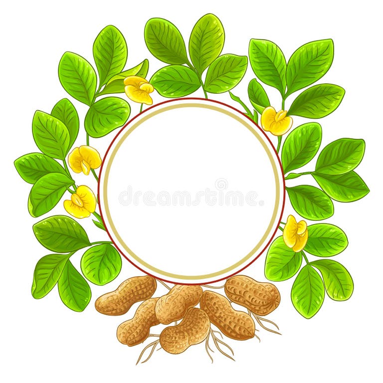 Peanut Frame Stock Illustrations – 722 Peanut Frame Stock Illustrations ...