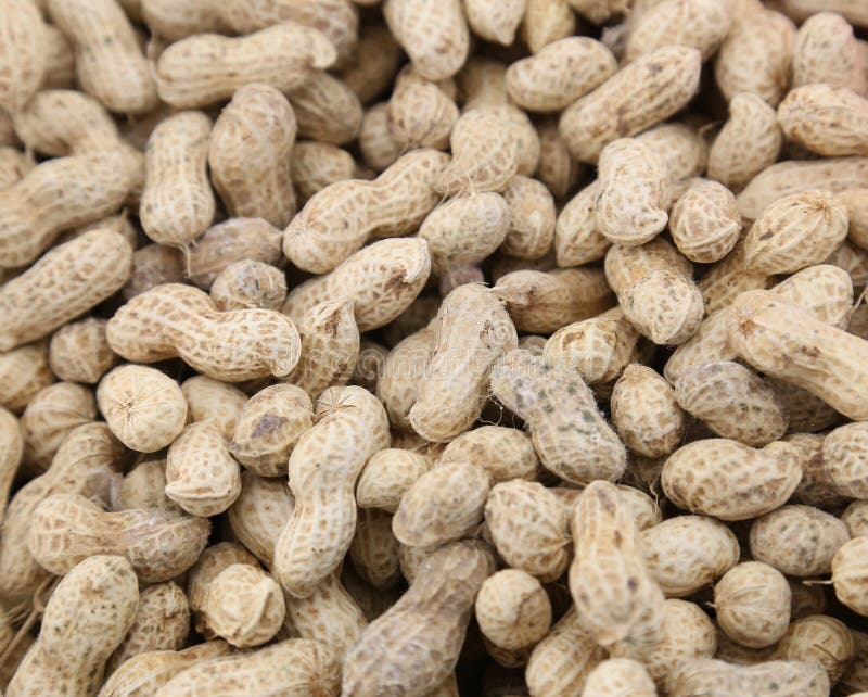 Moldy Peanuts Stock Photos - Free & Royalty-Free Stock Photos from ...
