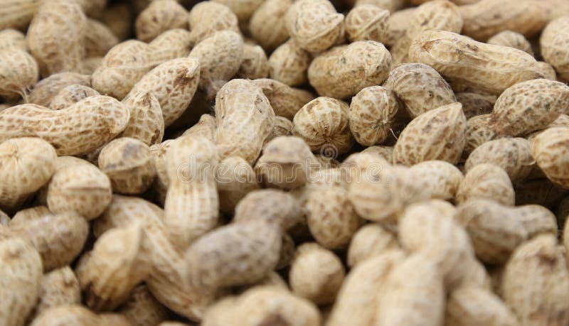 Moldy Peanuts Stock Photos - Free & Royalty-Free Stock Photos from ...