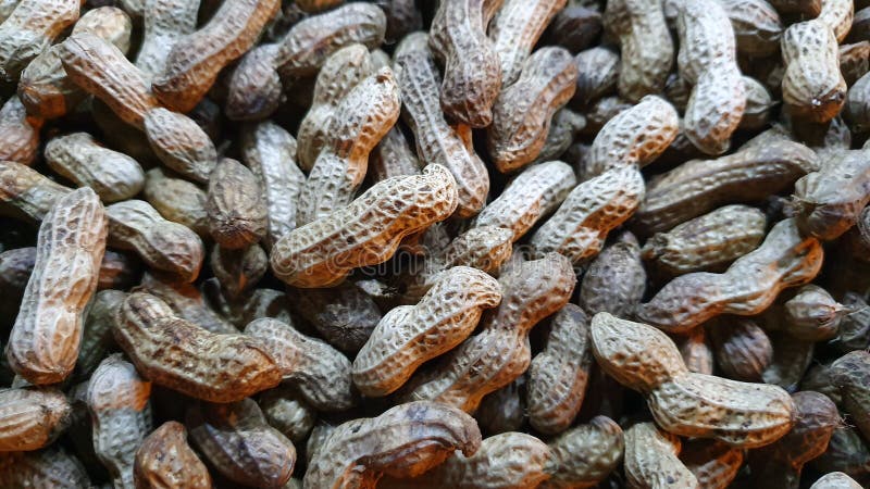 Peanut Cooked in Boiling Water Stock Photo - Image of food, wallpaper ...