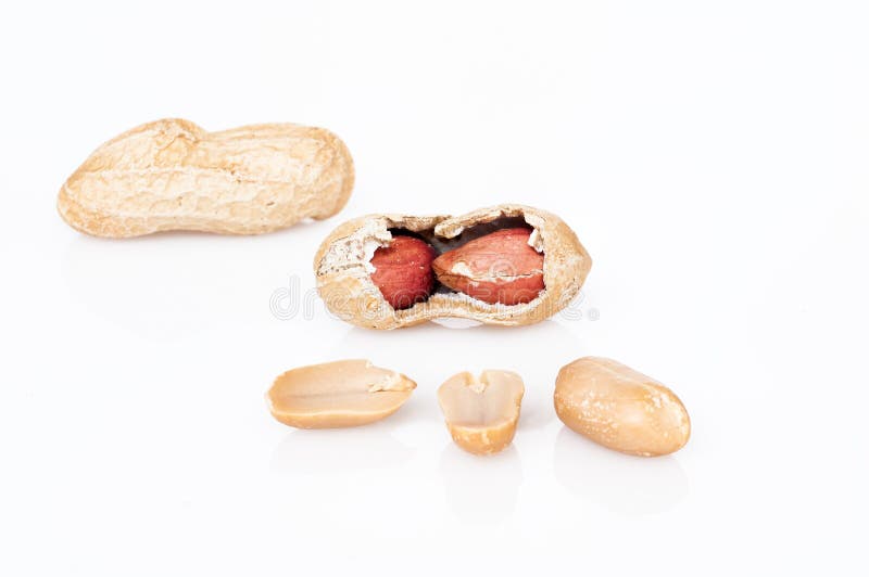 Peanut stock image. Image of delicious, peanuts, organic - 31012293