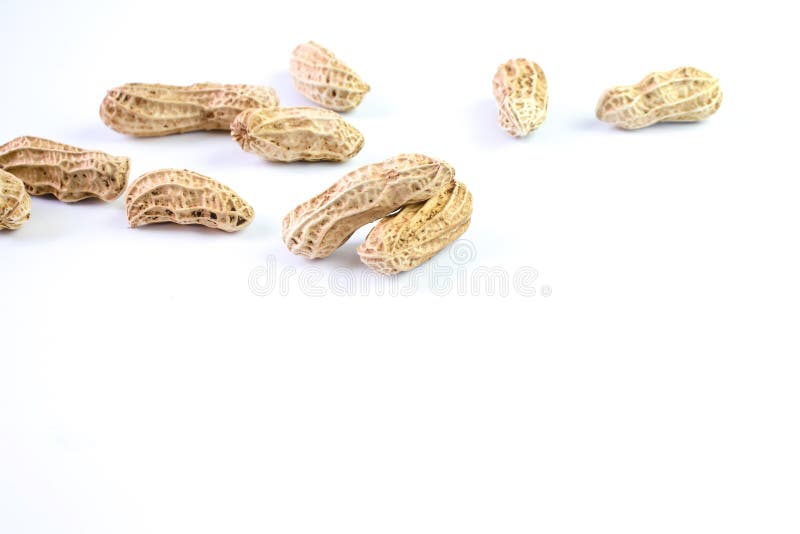 1,485 Groundnuts White Stock Photos - Free & Royalty-Free Stock Photos ...