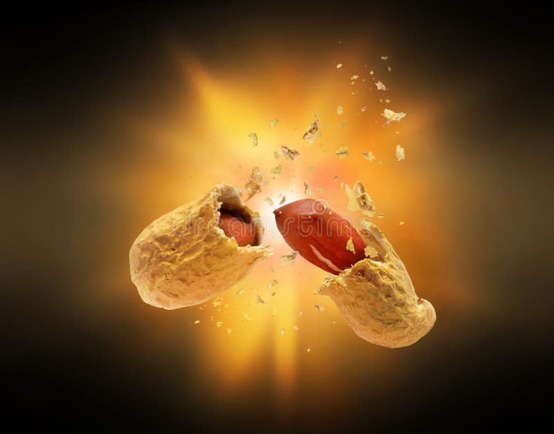 Peanut Explode into Two Parts in the Dark Stock Photo - Image of ...