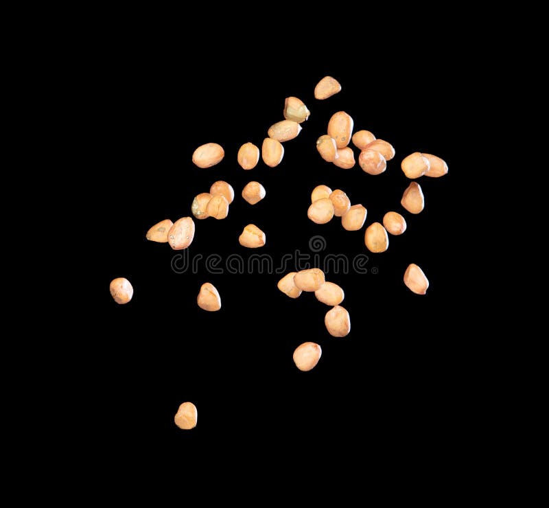 Peanut Flying Explosion, Brown Grain Peanuts Explode Abstract Cloud Fly ...