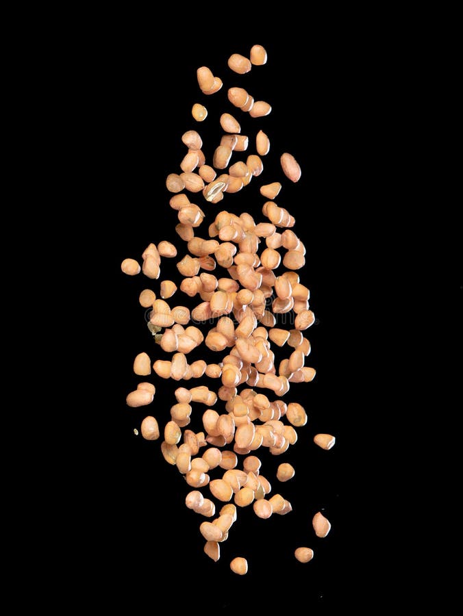 Peanut Flying Explosion, Brown Grain Peanuts Explode Abstract Cloud Fly ...