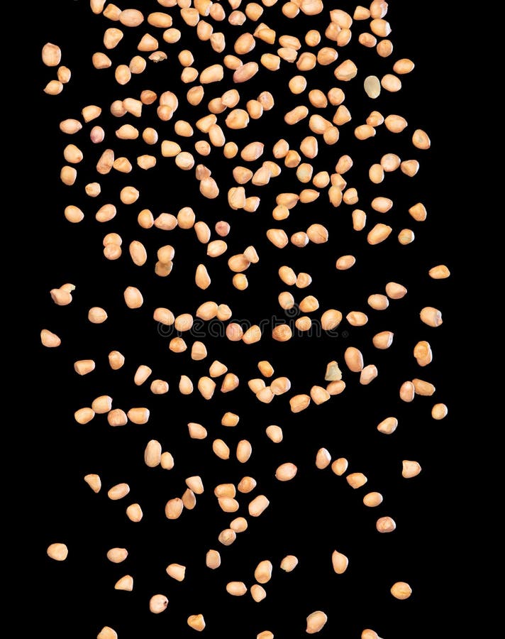 Peanut Flying Explosion, Brown Grain Peanuts Explode Abstract Cloud Fly ...