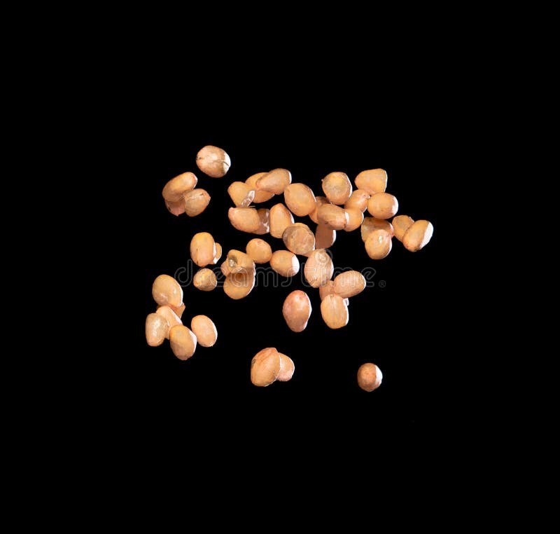 Peanut Flying Explosion, Brown Grain Peanuts Explode Abstract Cloud Fly ...