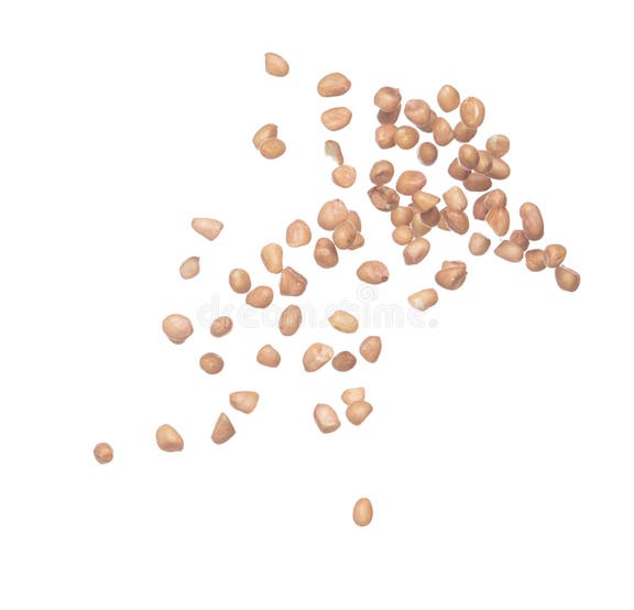 Peanut Flying Explosion, Brown Grain Peanuts Explode Abstract Cloud Fly ...