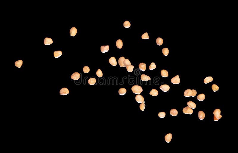 Peanut Flying Explosion, Brown Grain Peanuts Explode Abstract Cloud Fly ...