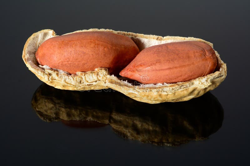 Peanut on Glossy Black Surface with Reflection. Peanut with Two Kernels ...