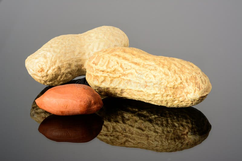 Peanut on Glossy Grey Surface with Reflection. Two Ripe Whole Real ...