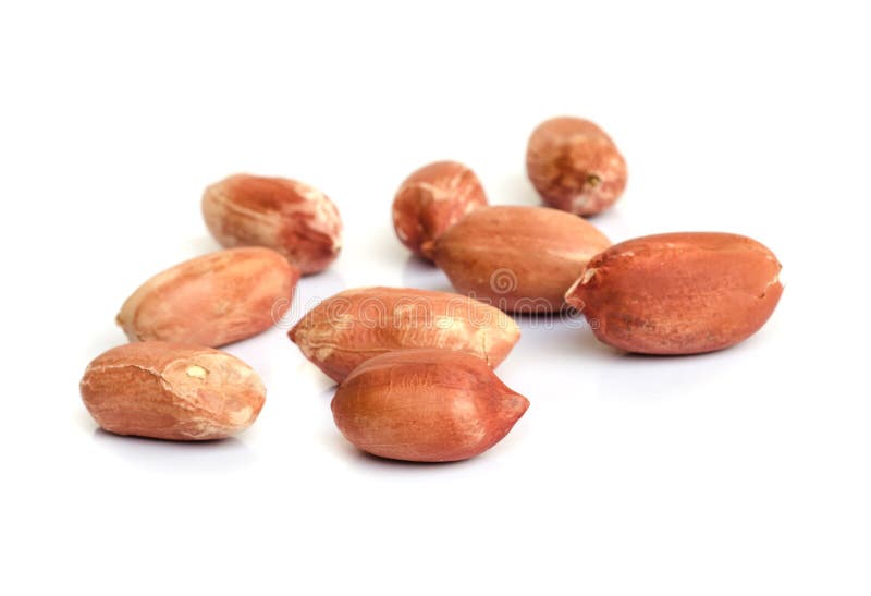 Peanut . stock photo. Image of organic, ingredient, protein - 40847264