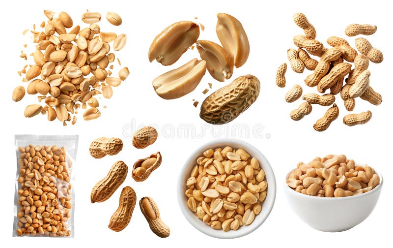 Peanut Groundnut Goober Pea Nut Seed Vegetable, Many Angles View Bowl ...