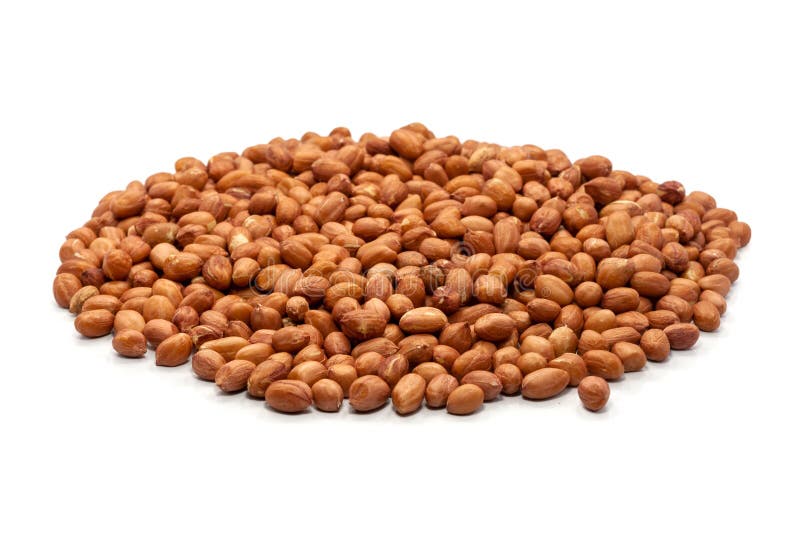 674 Single Groundnut Stock Photos - Free & Royalty-Free Stock Photos ...
