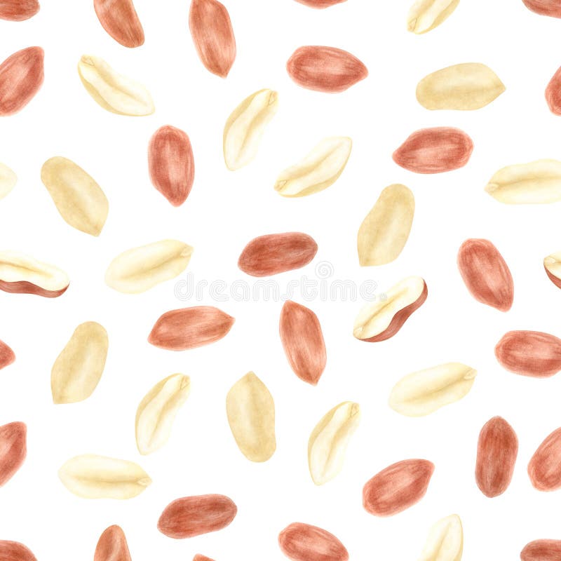 Peanut. Groundnut Whole , Halves, in Shell and Individual Kernels ...