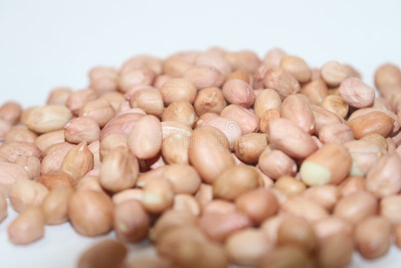Peanut or groundnuts stock image. Image of crop, vegetable - 249135937