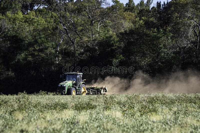 Peanut Dust Stock Photos - Free & Royalty-Free Stock Photos from Dreamstime